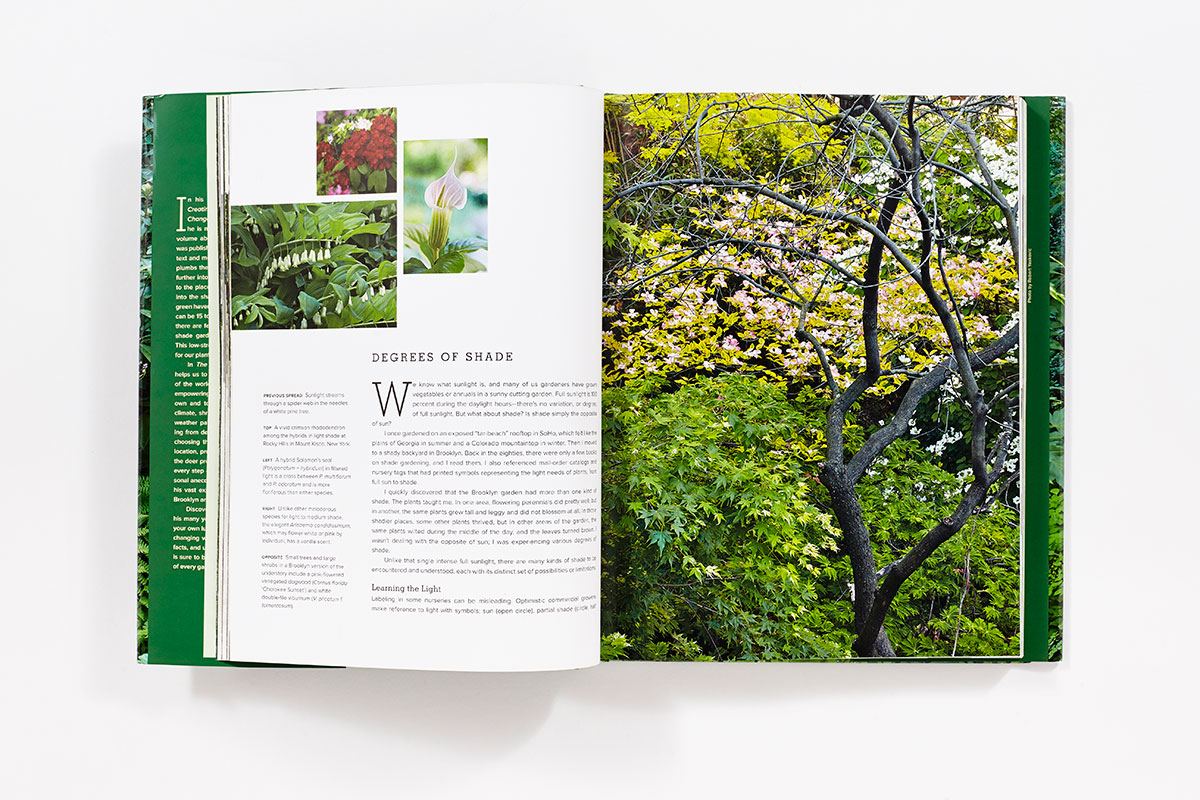 The New Shade Garden (Hardcover) | ABRAMS The New Shade Garden (Hardcover) | ABRAMS