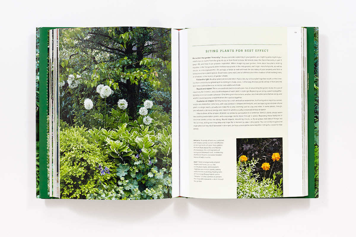 The New Shade Garden (Hardcover) | ABRAMS The New Shade Garden (Hardcover) | ABRAMS